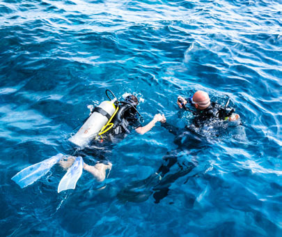 The Red Sea Resort of Sharm El Sheik | Diving Centre Alliance